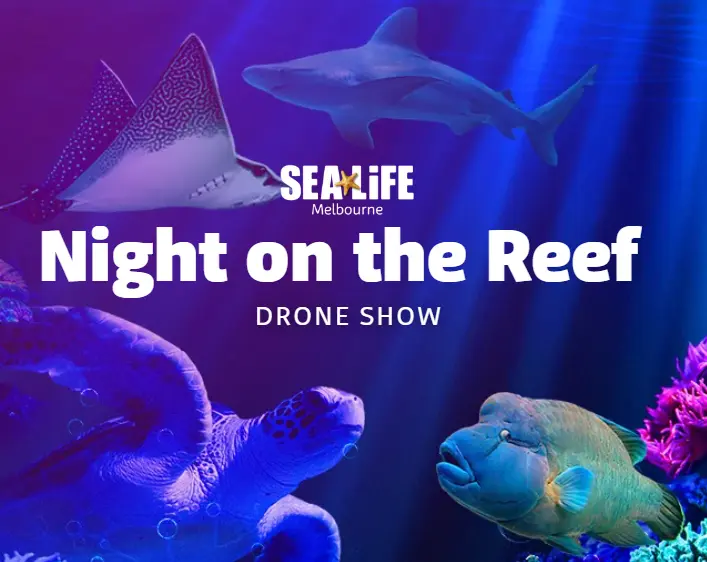 SEA LIFE Melbourne Aquarium Drone Show | Drone Sky Shows